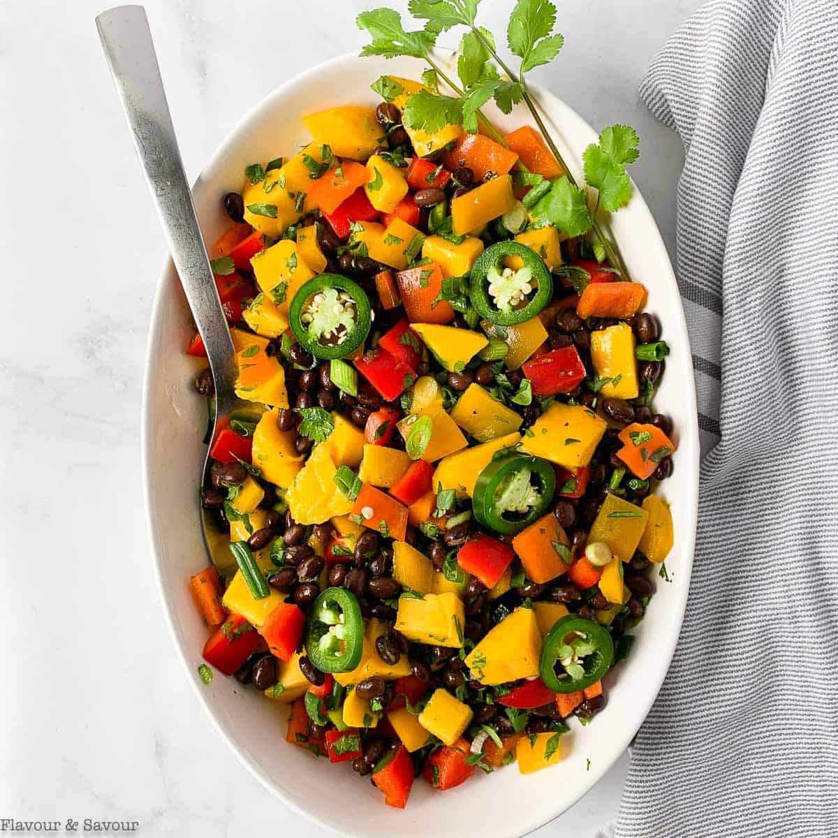 Mango Black Bean Salad with Lemon Lime Vinaigrette-Flavour and Savour